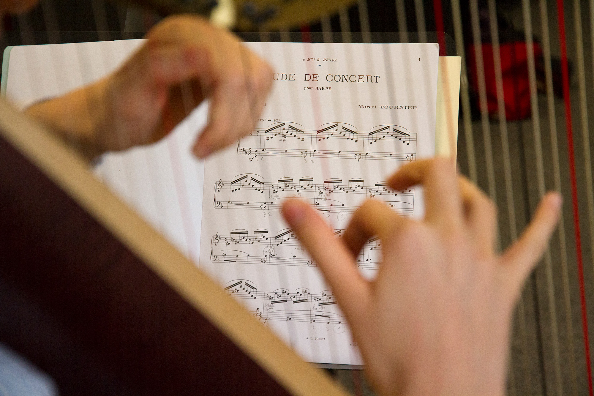 Les deux géants harpe et orgue | Conservatoire TPM