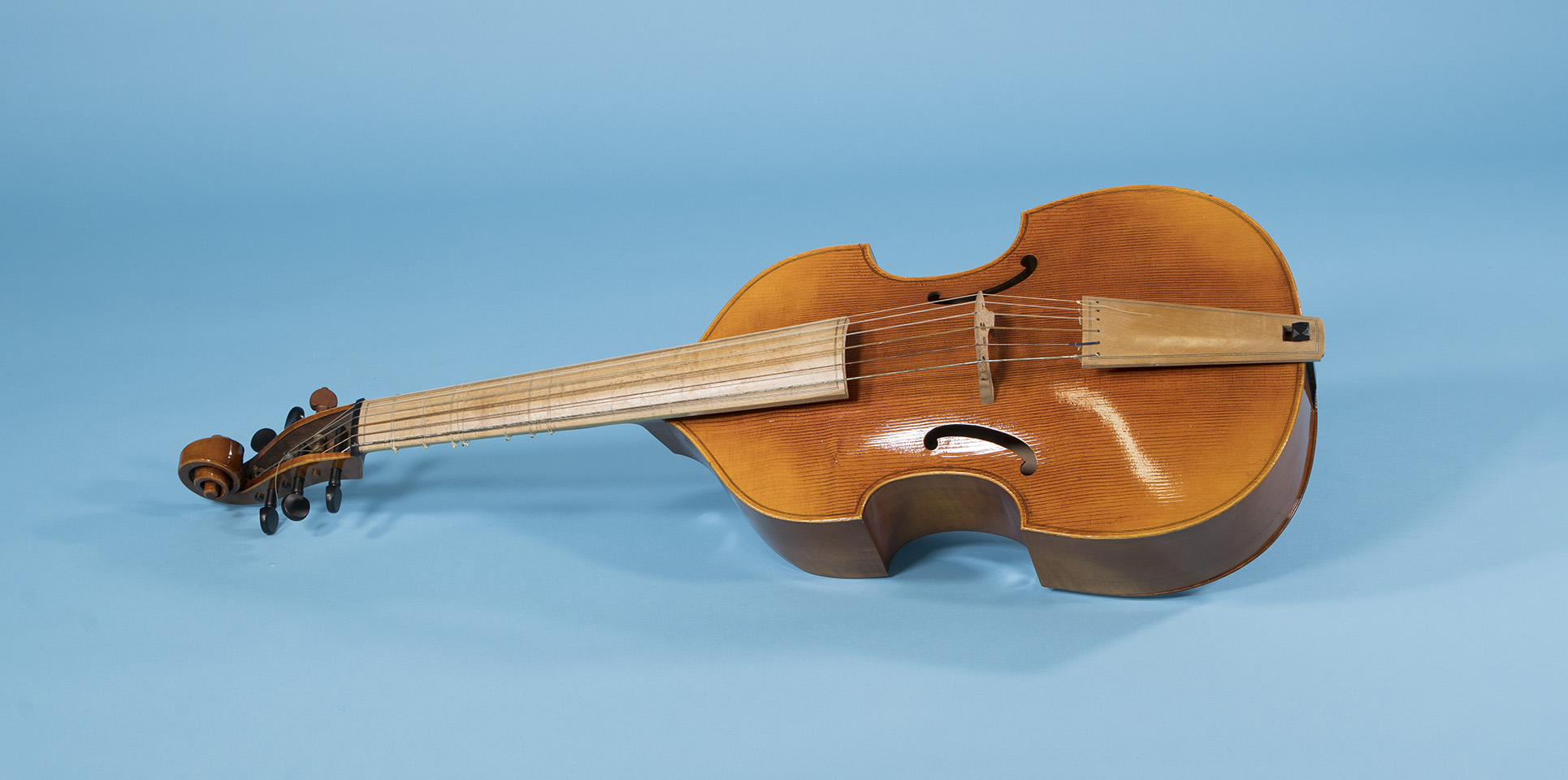 Viole de gambe | Conservatoire TPM