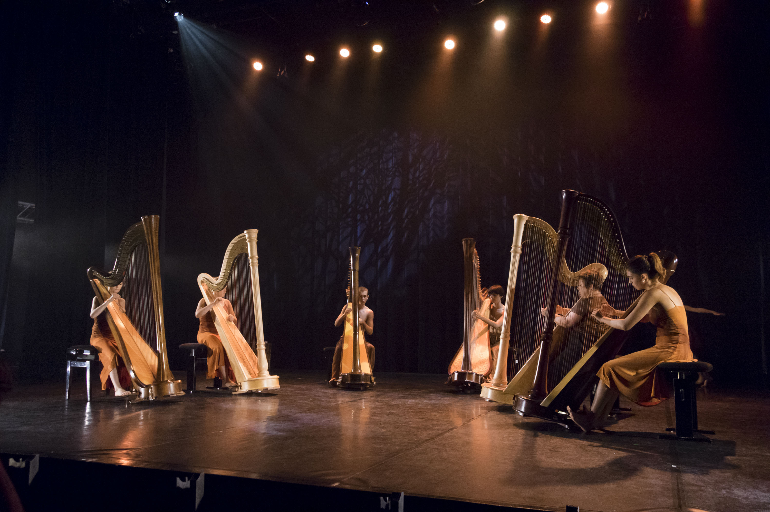 Audition de harpe | Conservatoire TPM