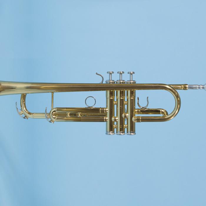 Les enseignements | Conservatoire TPM